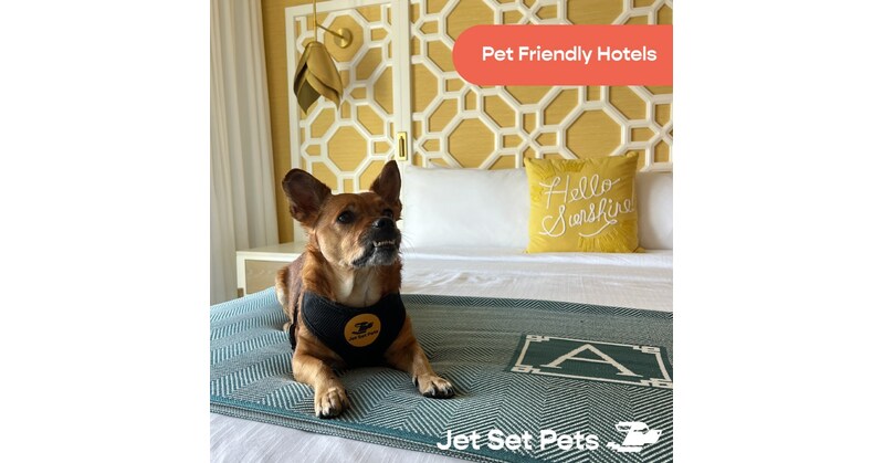 Introducing Jet Set Pets: The Ulti-Mutt Guide to Pet-Friendly Travel ...