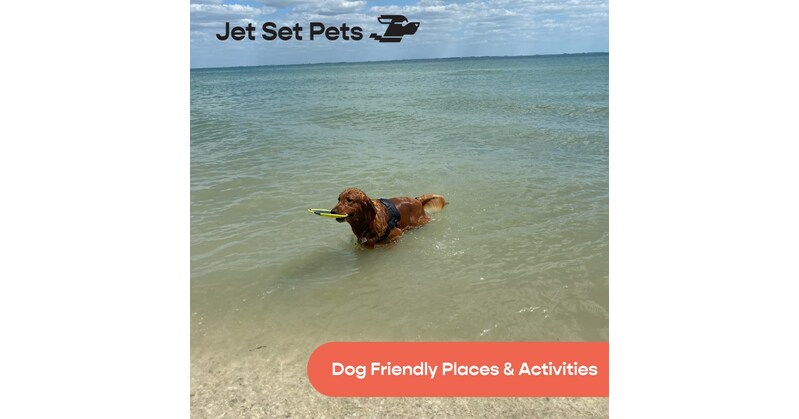 Introducing Jet Set Pets: The Ulti-Mutt Guide to Pet-Friendly Travel ...