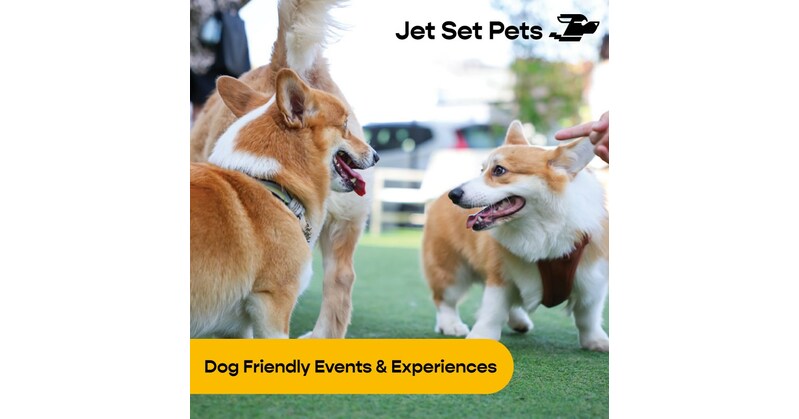 Introducing Jet Set Pets: The Ulti-Mutt Guide to Pet-Friendly Travel ...
