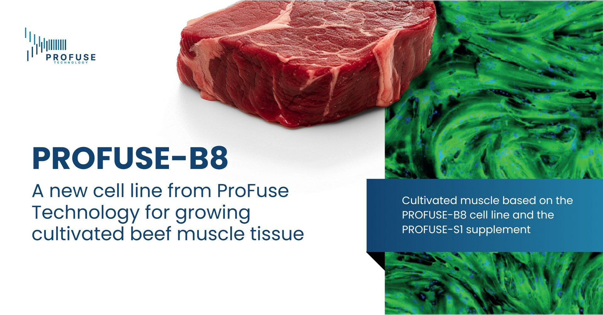 ProFuse Technology Unveils Revolutionary Cell Line for Cultivated Meat ...