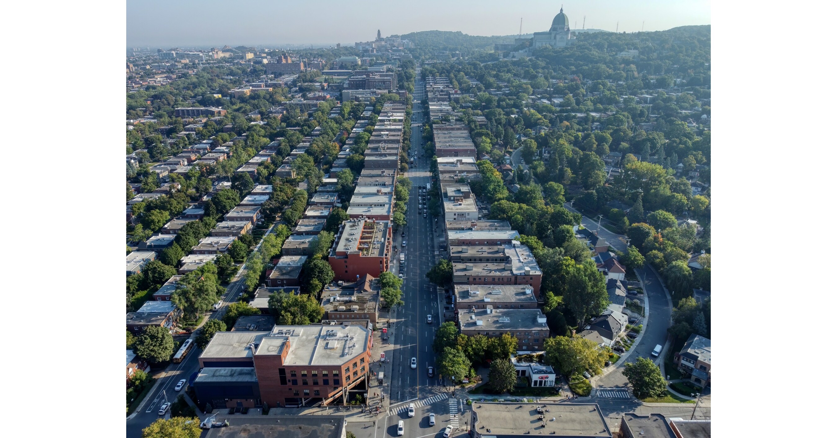 Encore plus d'arbres à CDN-NDG