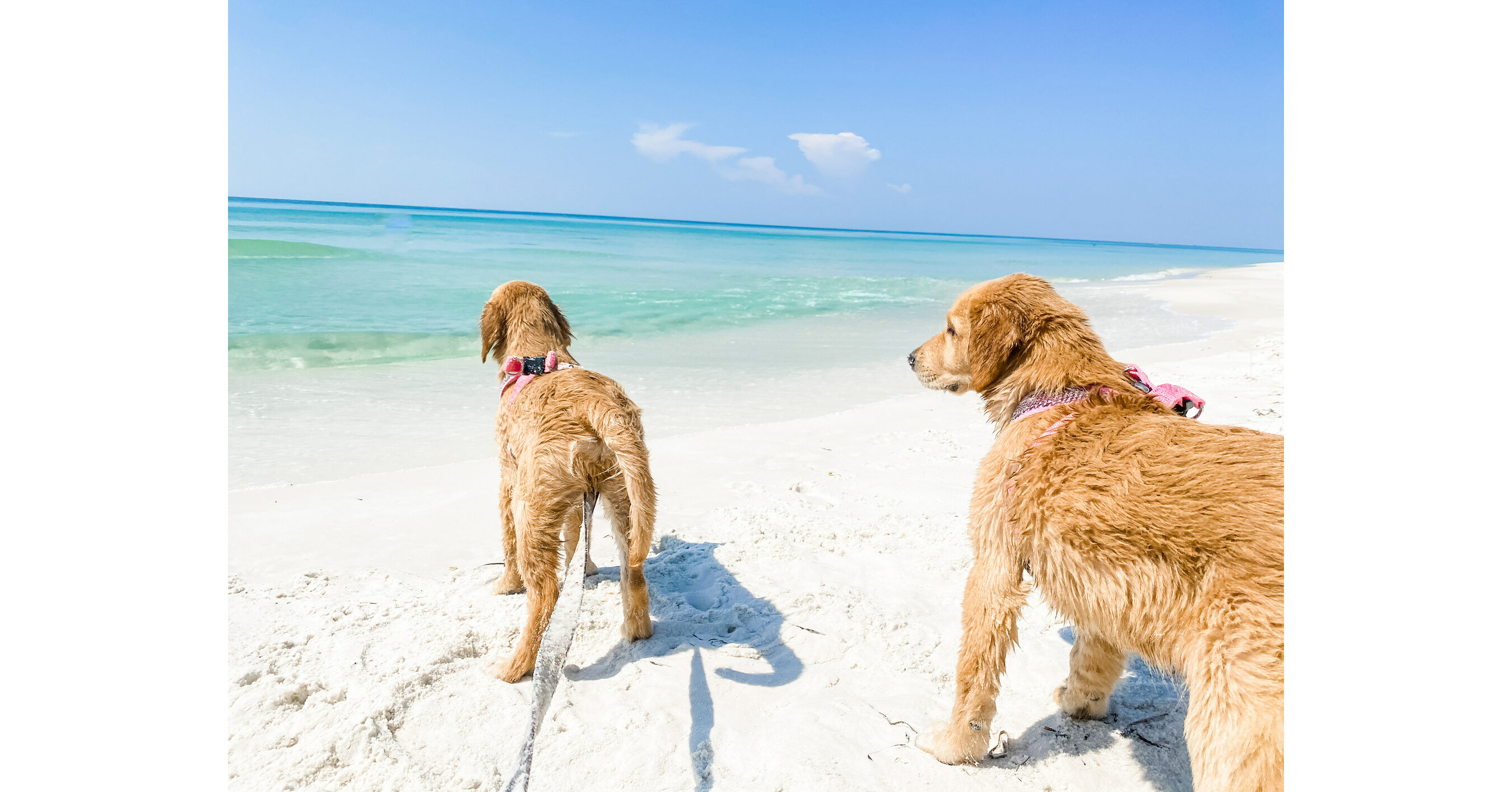 Spring Break in Paradise: Pensacola Beach Unveils Top 10 Reasons to Visit