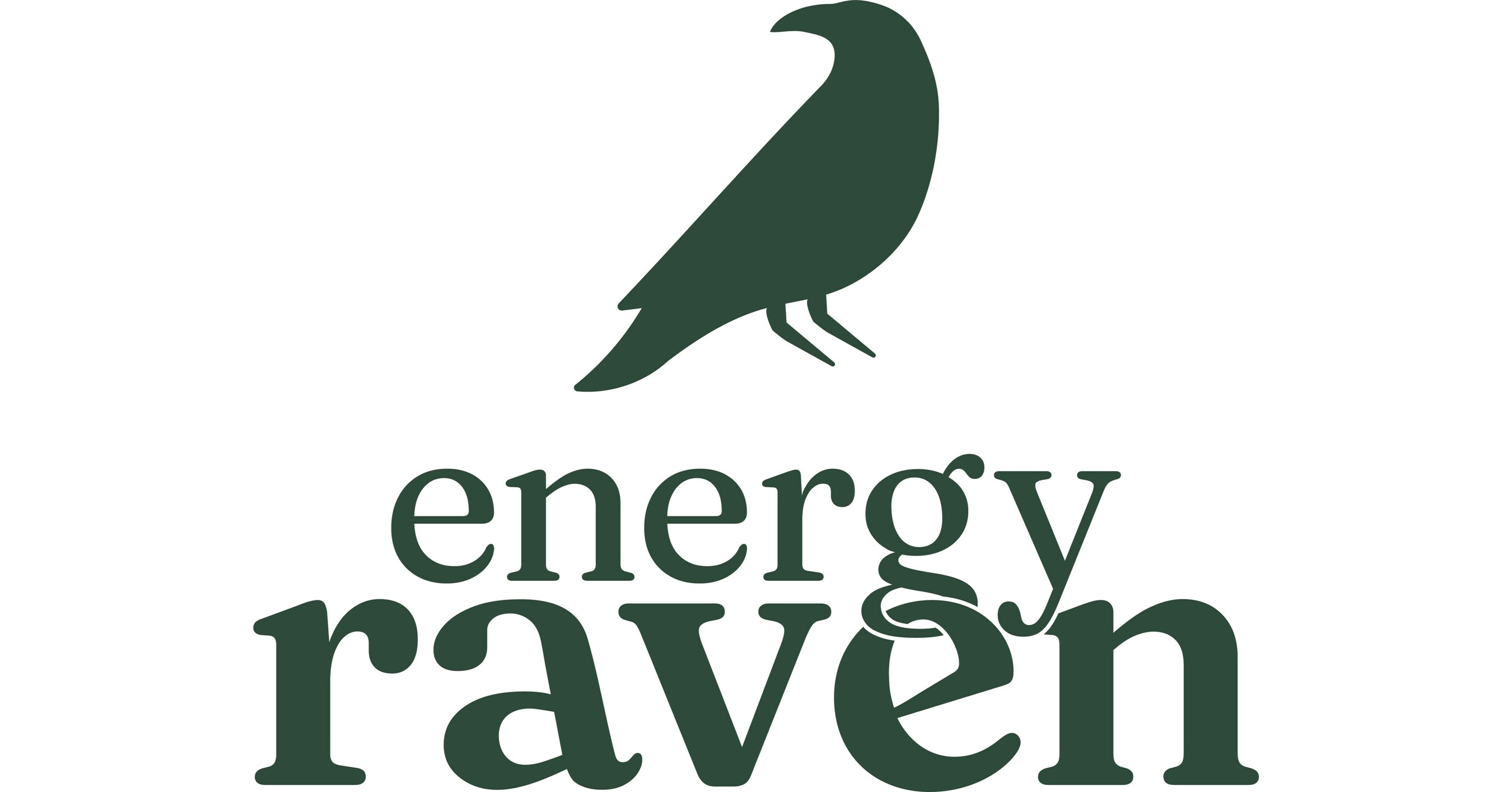 Energy Raven Launches to Revolutionize and Accelerate Home Intelligence ...