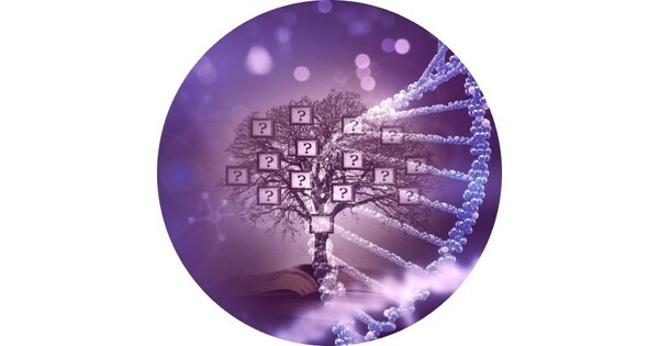 Bode Technology Offers End-to-End Advanced Forensic Investigative ...