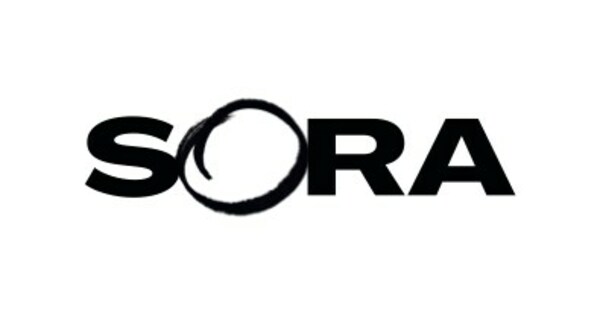 Sora Schools Unveils 2024 Trends in Education Report, Reveals What Will ...
