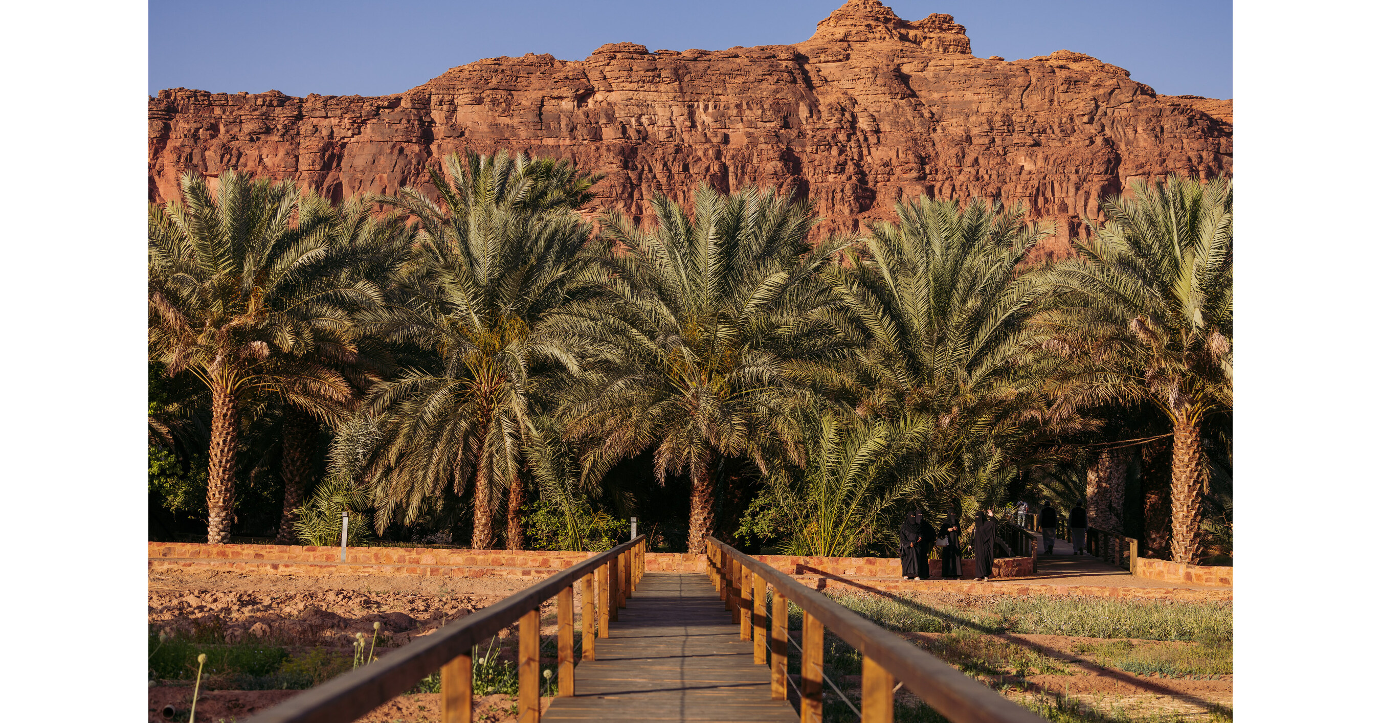 LE SOMMET INAUGURAL ALULA FUTURE CULTURE CÉLÈBRE LES IDÉES NOVATRICES ...