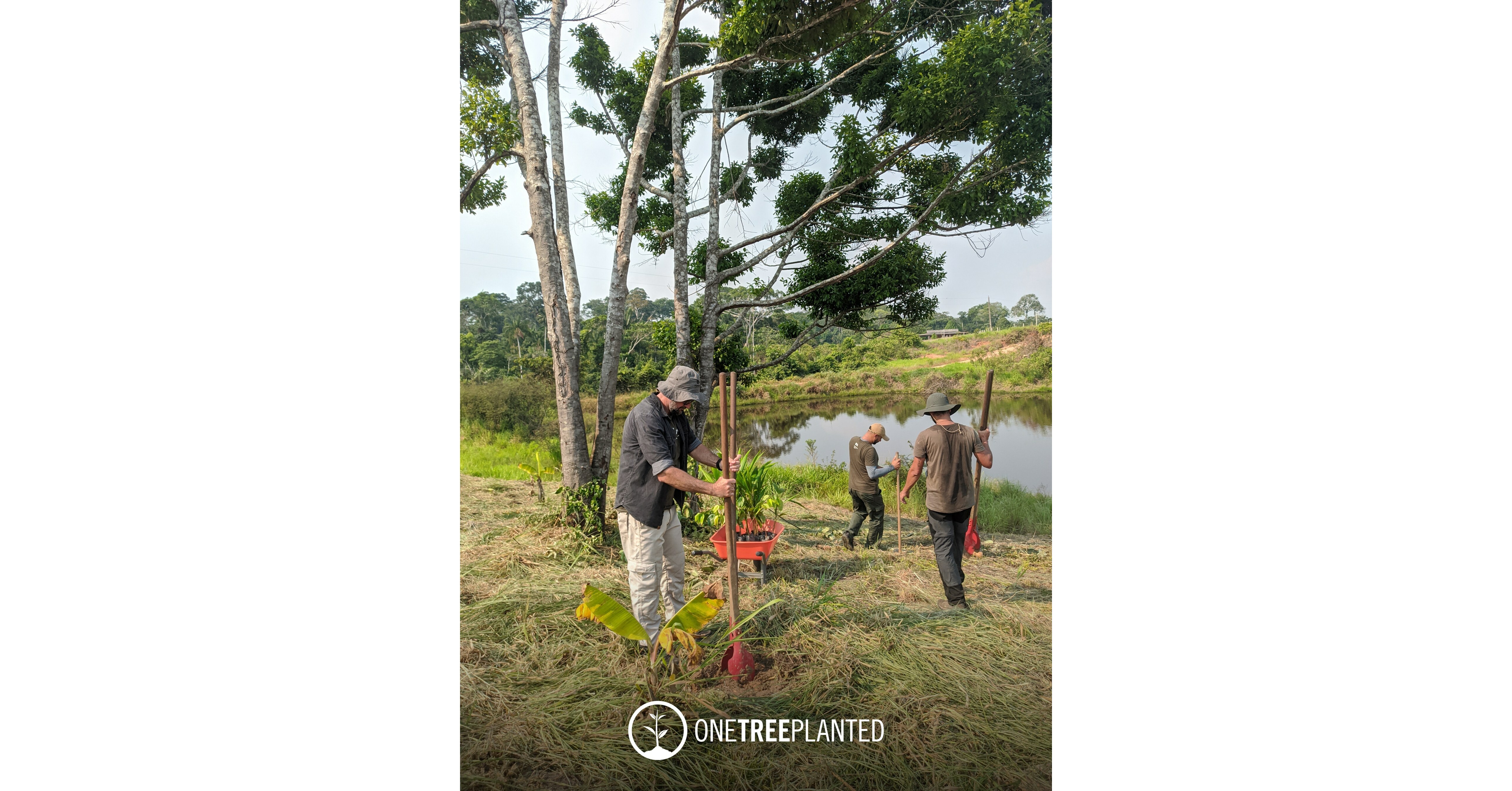 PMI Foods Partners with One Tree Planted to Plant 10,000 Trees as Part of a Longer-Term ...