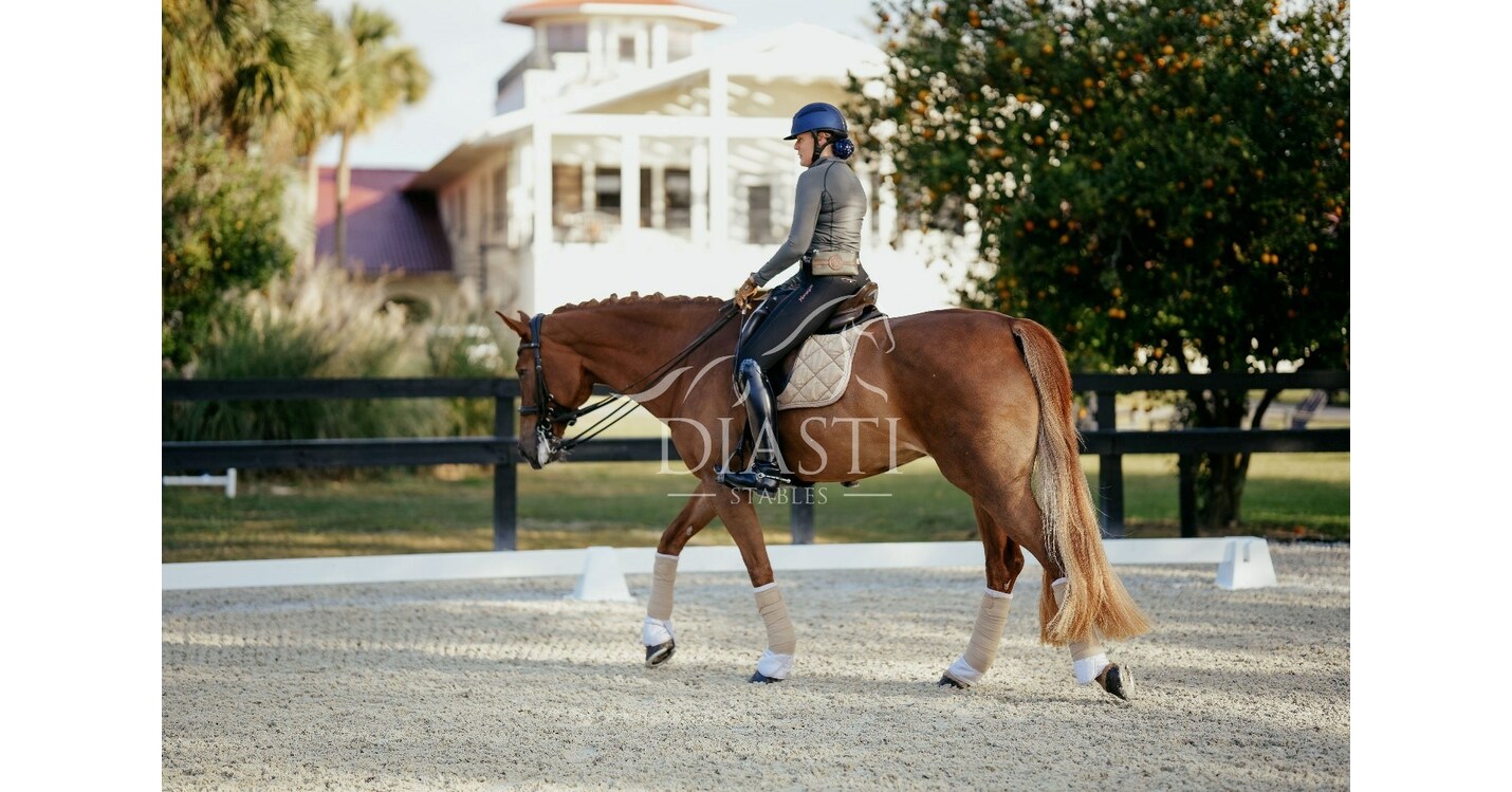 Diasti Stables Celebrates One Year Anniversary as Premier Equestrian ...