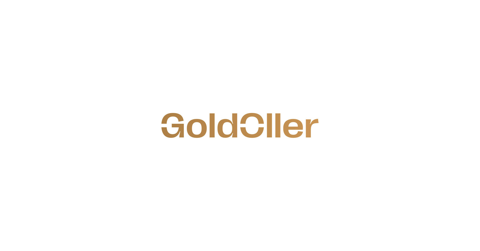 JAKE HOLLINGER APPOINTED CEO OF GOLDOLLER REAL ESTATE INVESTMENTS