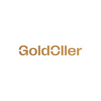JAKE HOLLINGER APPOINTED CEO OF GOLDOLLER REAL ESTATE INVESTMENTS