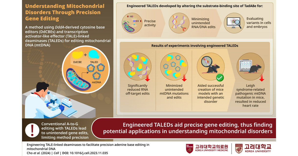 Korea University Study Explores a Novel and Precise Mitochondrial Gene ...