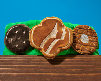 Hard Candy Introduces Limited-Edition Girl Scouts Cookie-Inspired ...