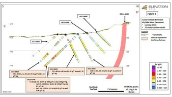 Elevation Gold Provides Exploration Results for Reynolds Pit Area and ...