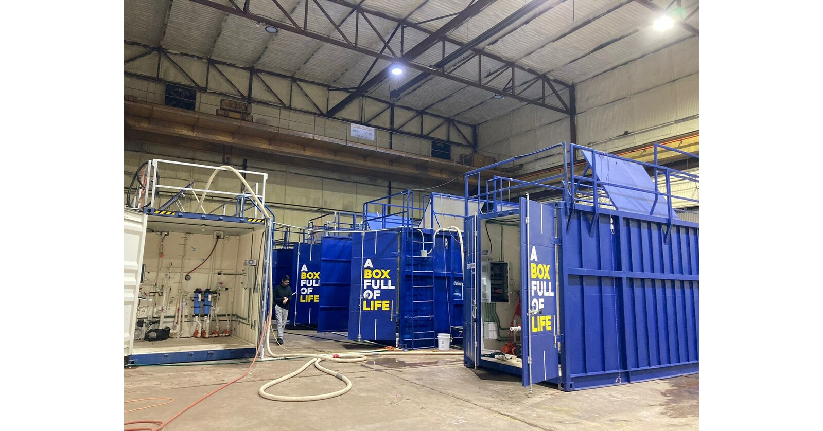 Atarraya's Shrimpbox Farms Usher in the Future of Protein at Economist ...