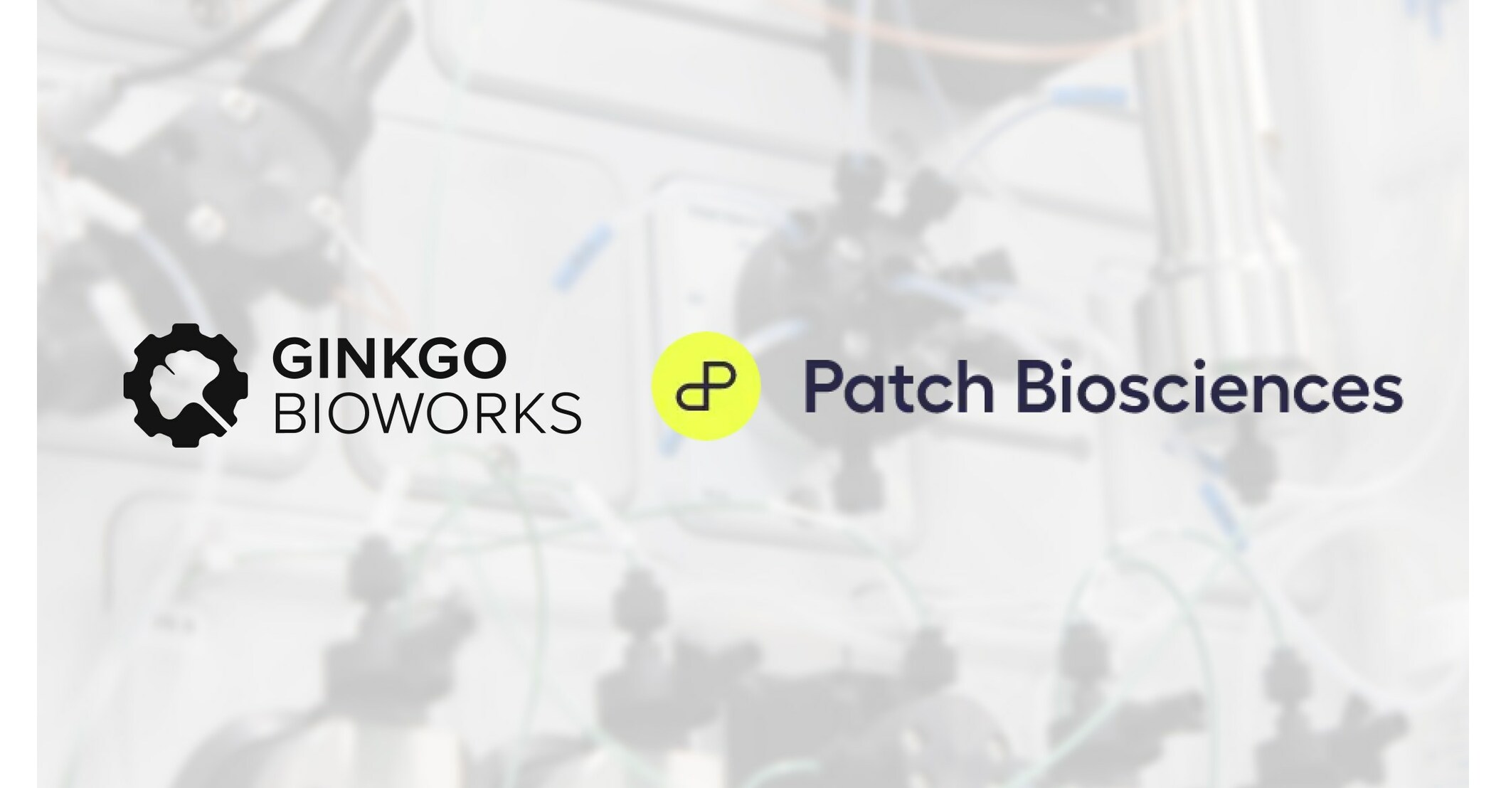 Ginkgo Bioworks Acquires Patch Biosciences, Expanding Suite of Genetic ...