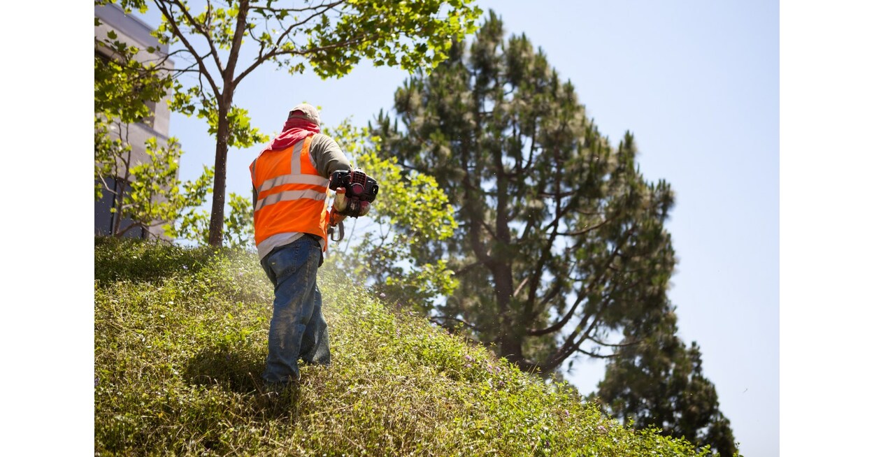 Affordable Excellence: How GFM Delivers High-Quality Landscaping ...