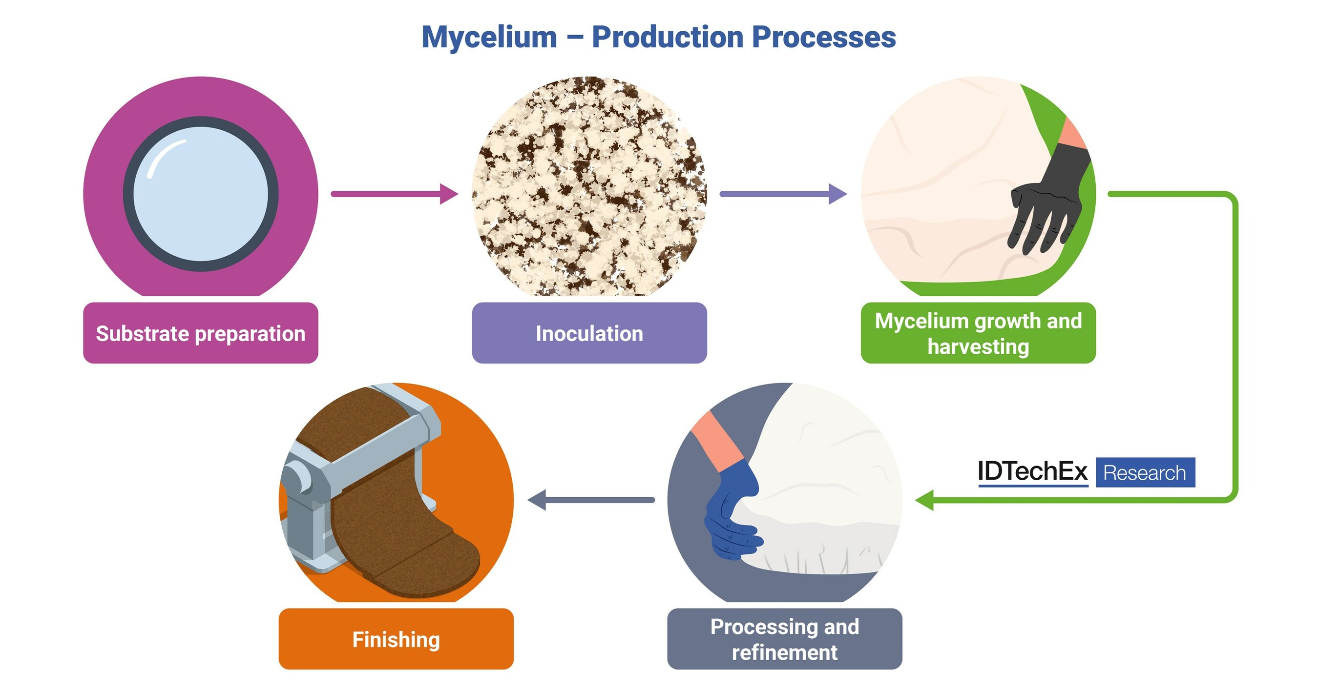 IDTechEx Highlights: Unpacking the Potential and Pitfalls of the ...