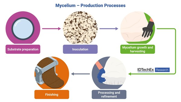 Idtechex Highlights: Unpacking The Potential And Pitfalls Of The Mycelium Leather Revolution