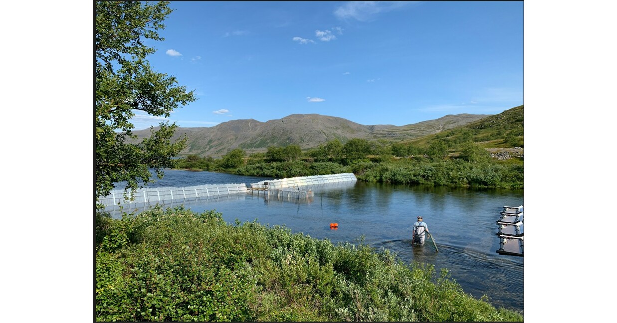 Huawei and BJFF Win GSMA GLOMO for TECH4ALL Norway Salmon Conservation ...