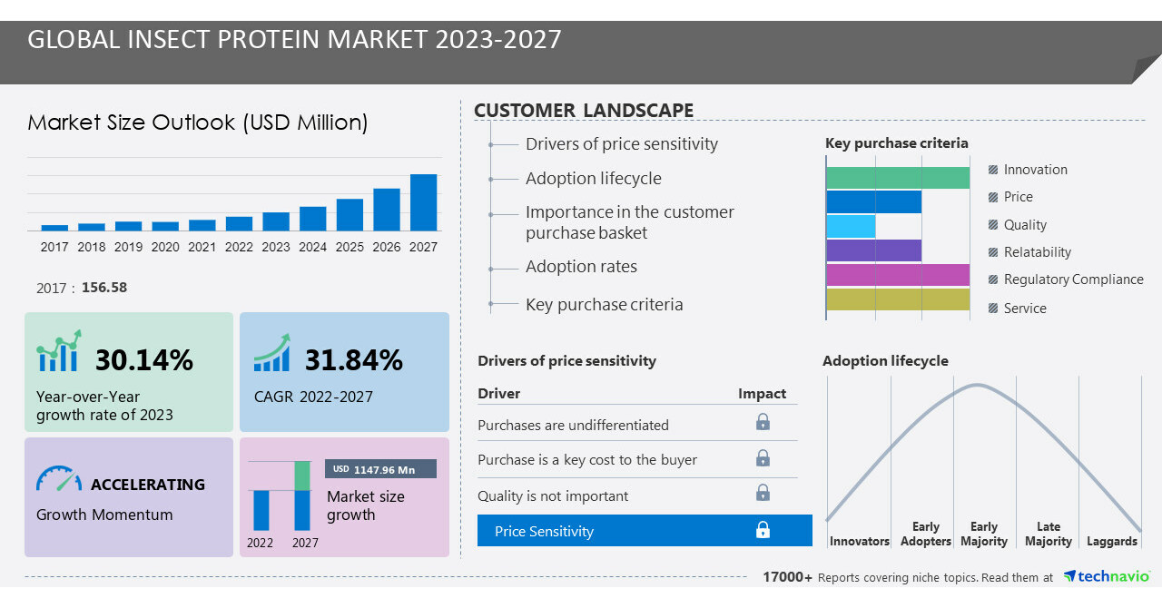 Insect Protein Market size to grow by USD 1.14 billion from 2022 to ...