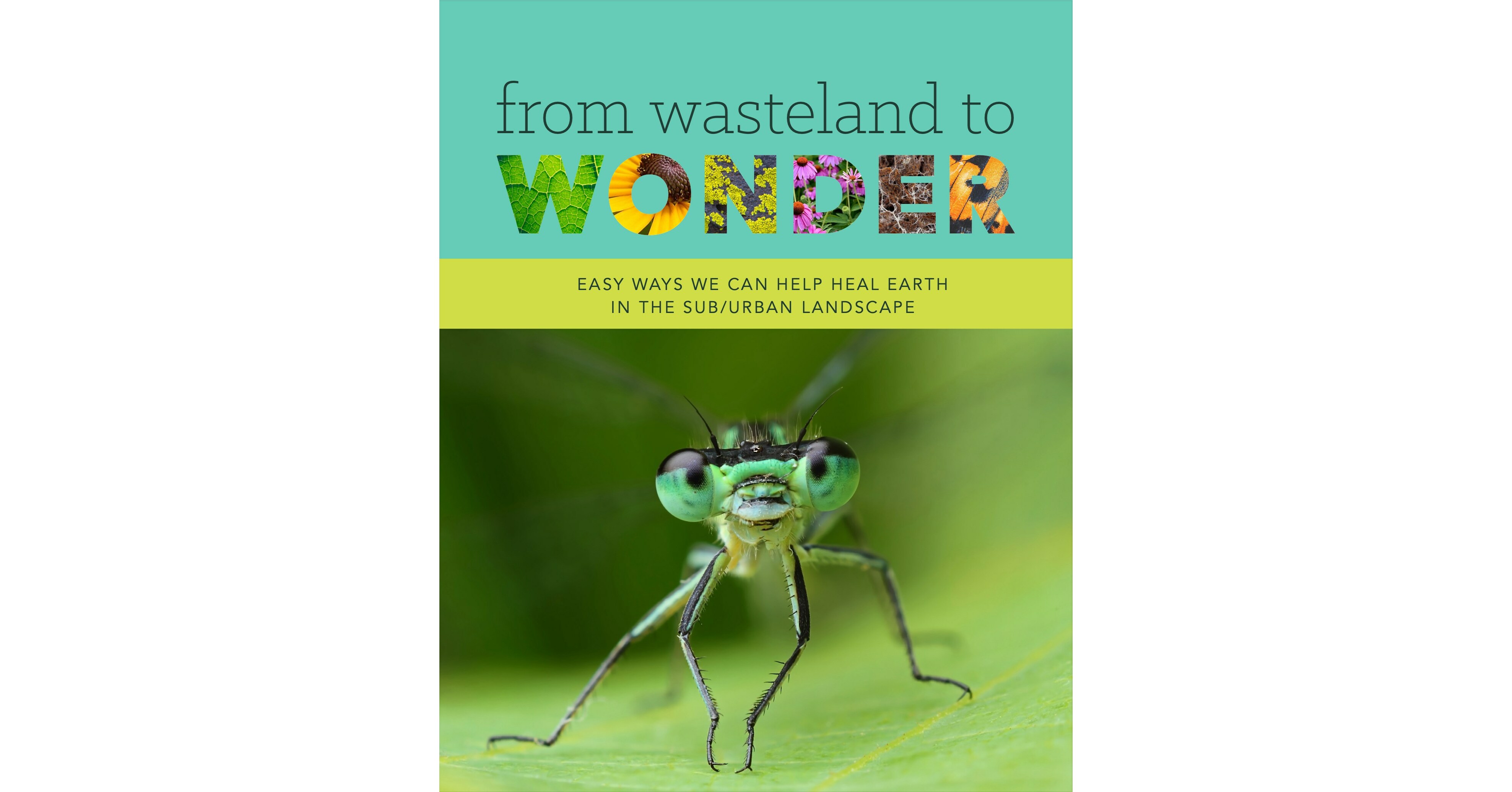 Groundbreaking Environmental Book "From Wasteland to Wonder" Challenges ...