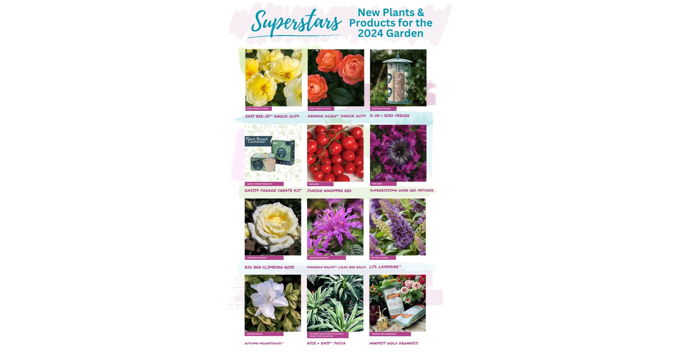 Garden Media Releases Guide to New Plants and Products for Spring 2024