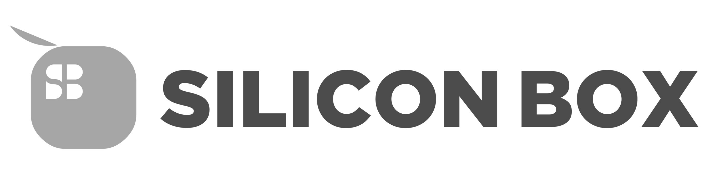 Silicon Box cutting-edge, advanced panel-level packaging foundry ...