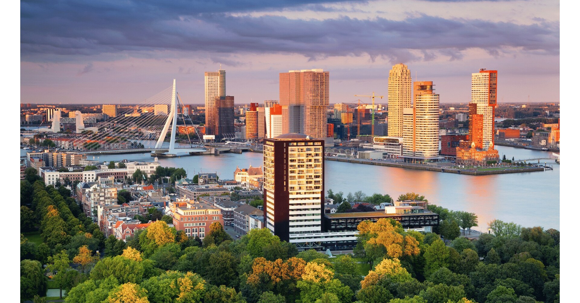 Targray Expands European Presence with New Commodities Trading Desk in ...
