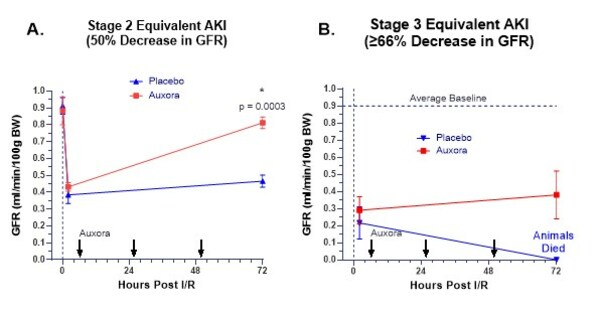 CalciMedica Presents Data from Preclinical Studies of Auxora in Acute Kidney Injury at the 29th ...