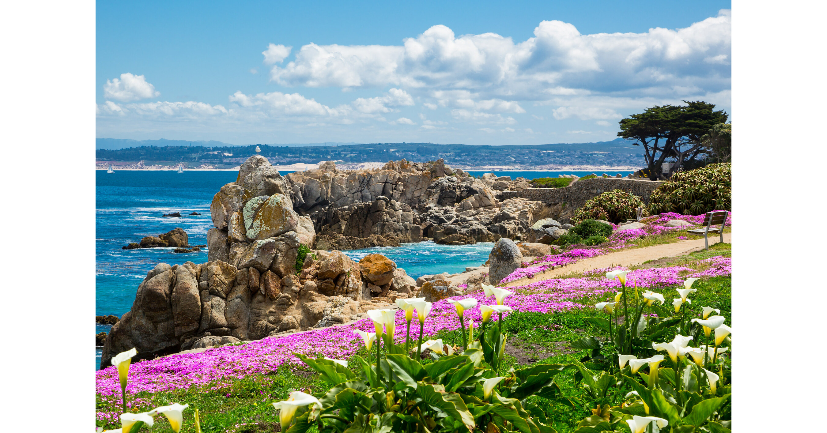 Springtime is the Best Time to Visit Monterey
