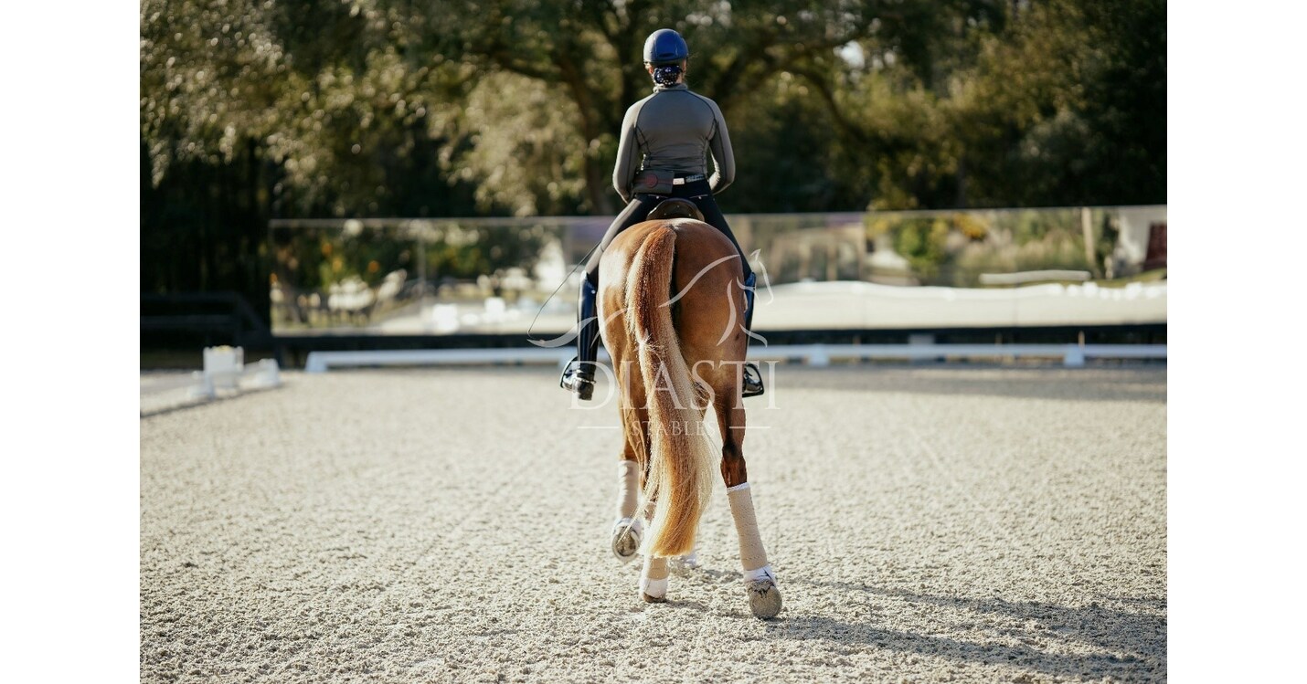 Diasti Stables Equine Facility Unveils its Dressage Arena