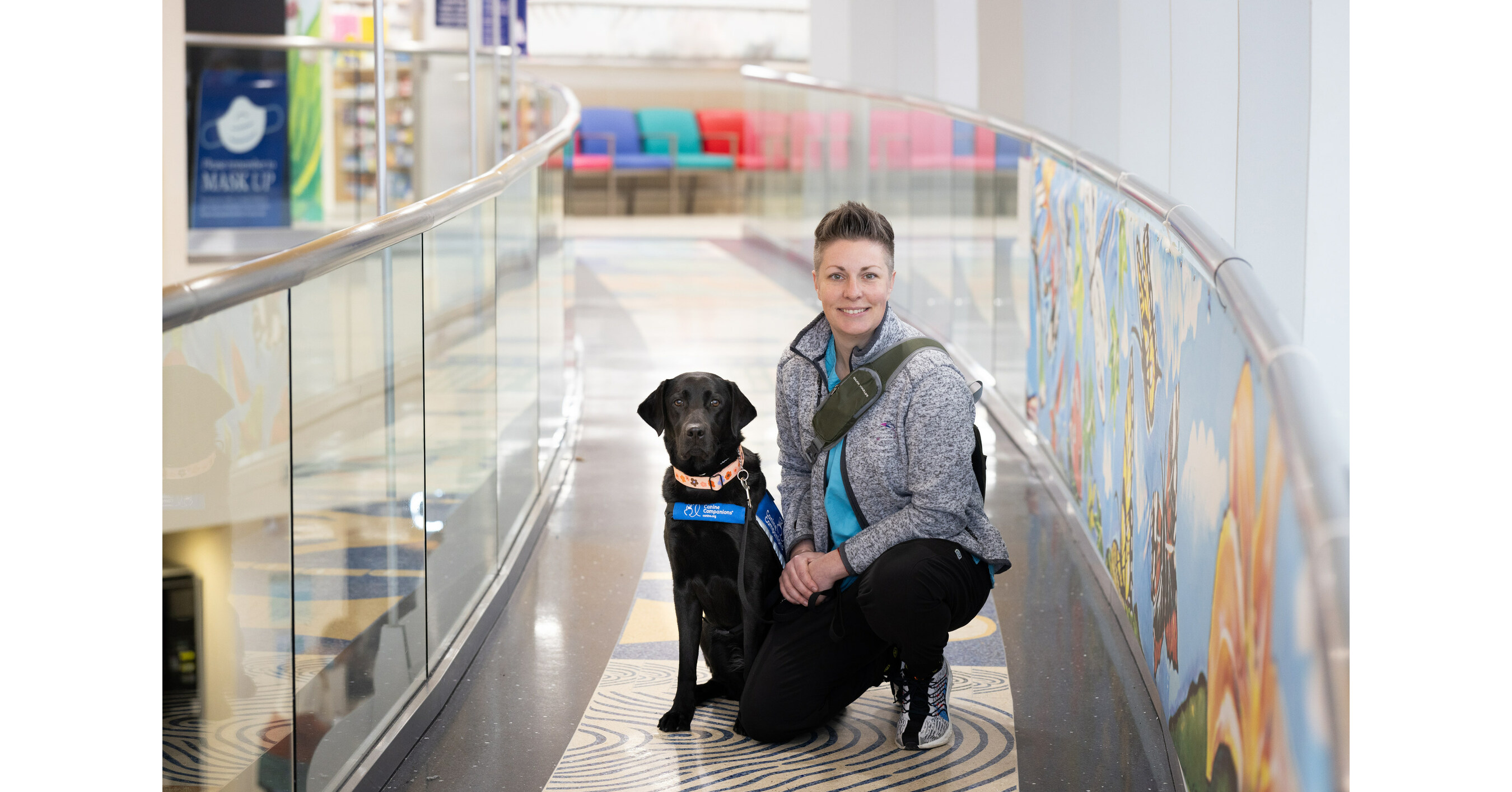 BLACK LABRADOR POLLY, NEWEST RECRUIT AT THE CHILDREN'S HOSPITAL AT ...