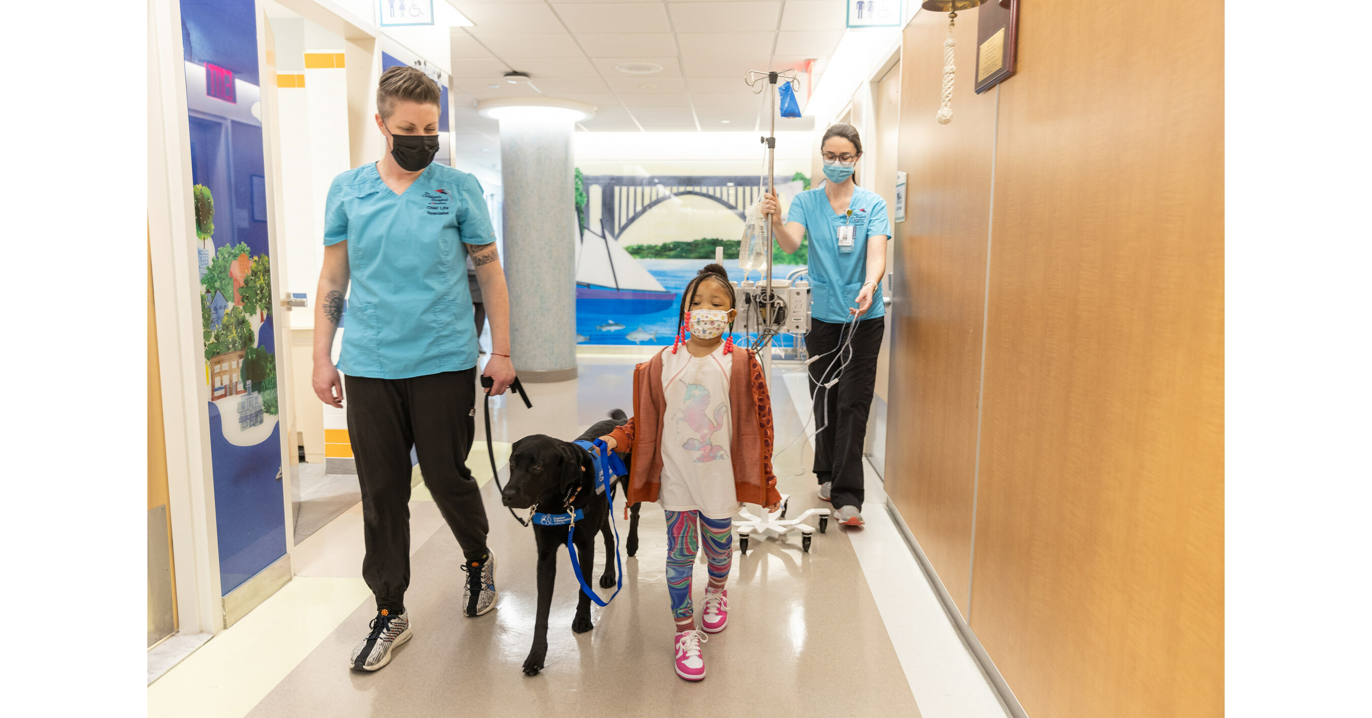 BLACK LABRADOR POLLY, NEWEST RECRUIT AT THE CHILDREN'S HOSPITAL AT ...