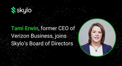 Tami Erwin, former CEO of Verizon Business, joins Skylo's Board of ...