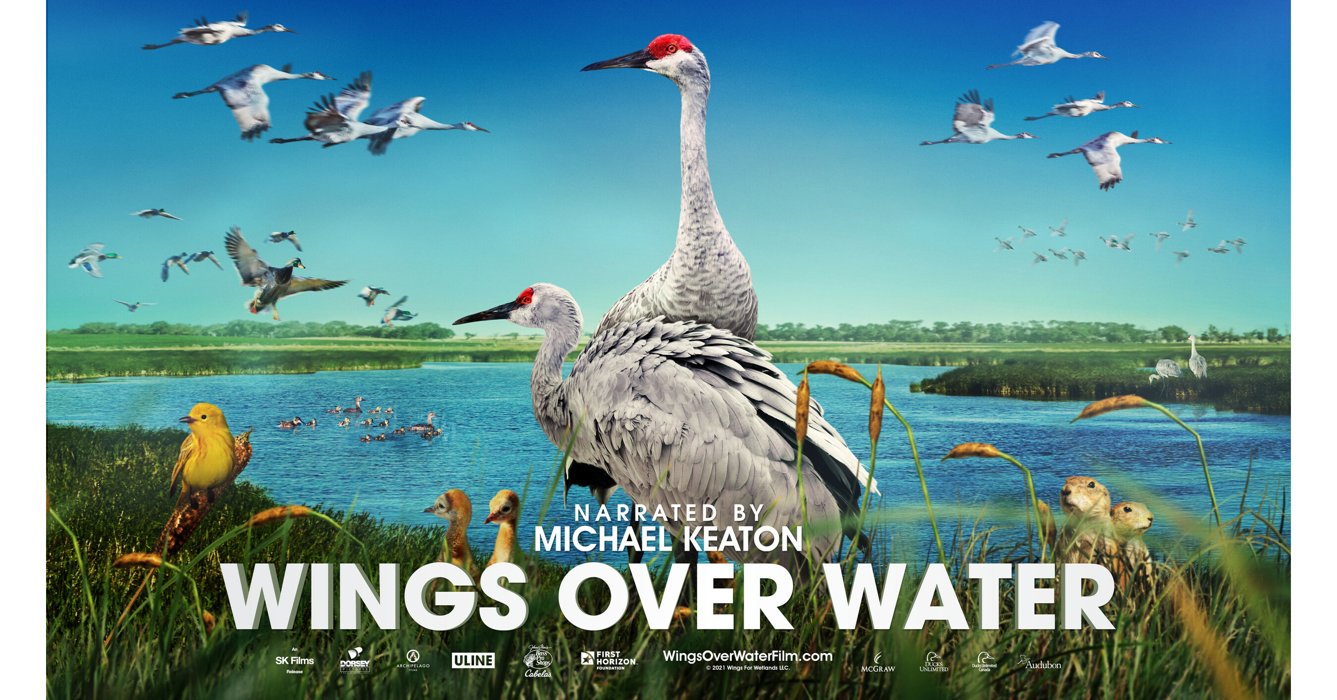 Award-winning Wings Over Water Imax® Film released for special one-day ...