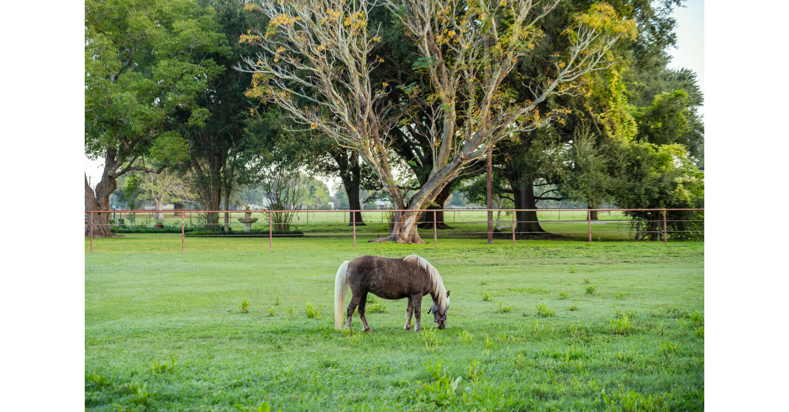 Announcing New Texas Agritourism Ranch Stay: HarBet Lodge
