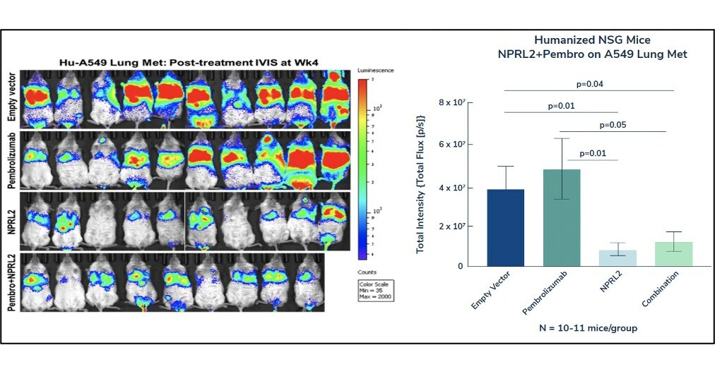Genprex Collaborators Publish Positive Preclinical Data with NPRL2 Gene ...