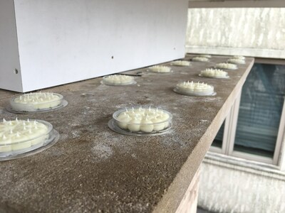 Bird-X Expands Product Line with Optical Gel Bird Deterrent