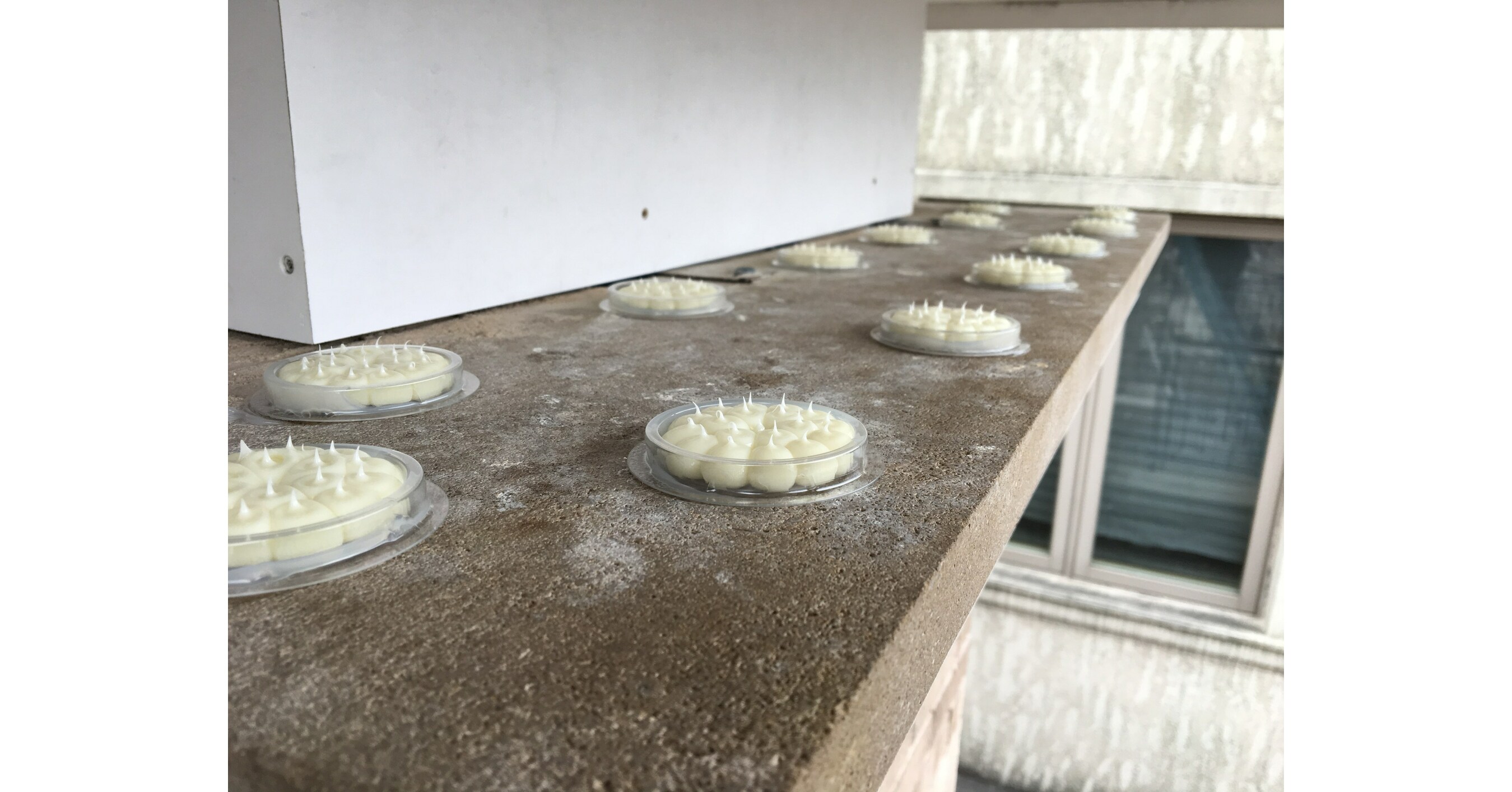 Bird-X Expands Product Line with Optical Gel Bird Deterrent