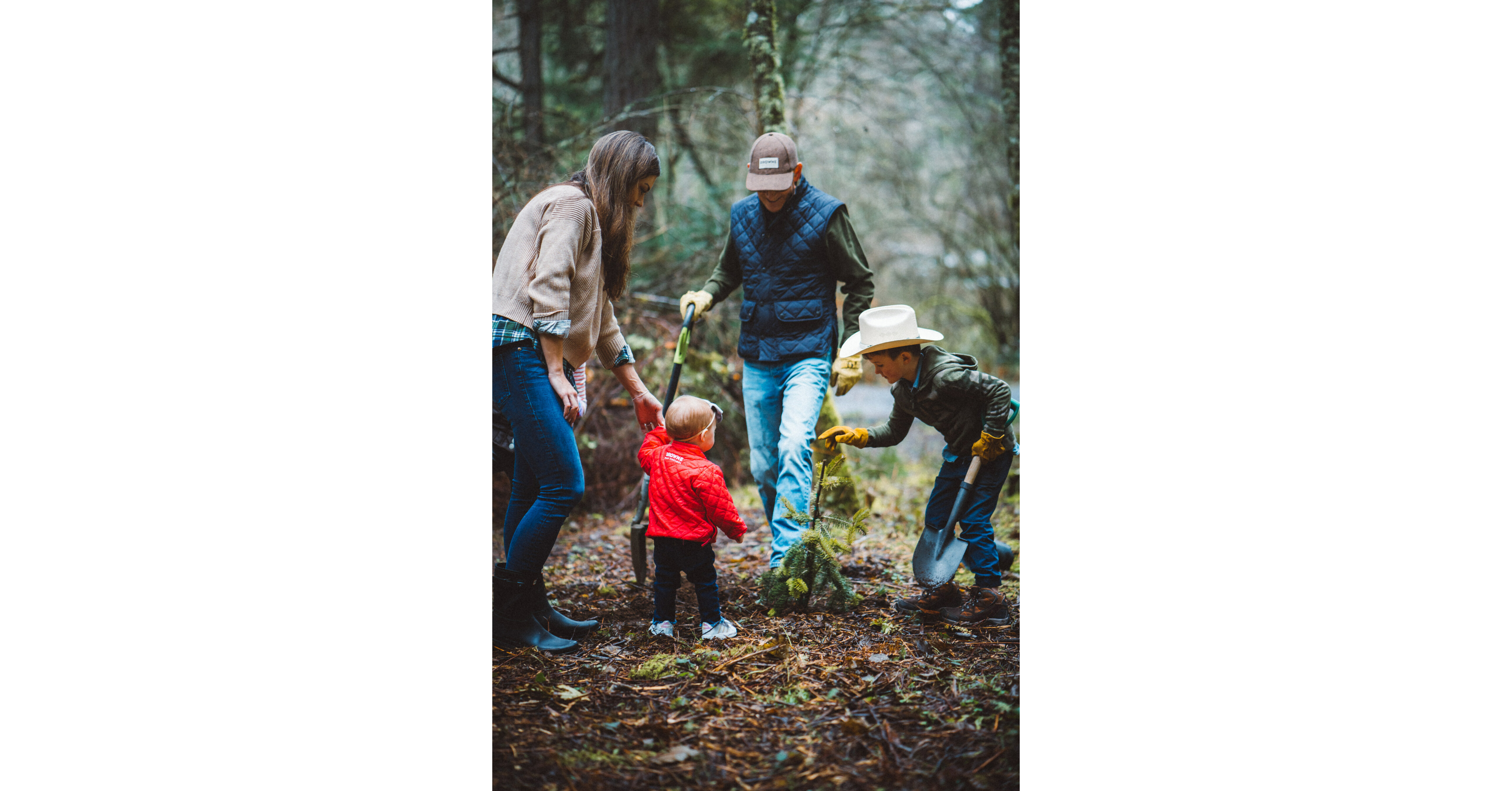 Browne Forest Project Hits 200,000 Tree Planting Milestone