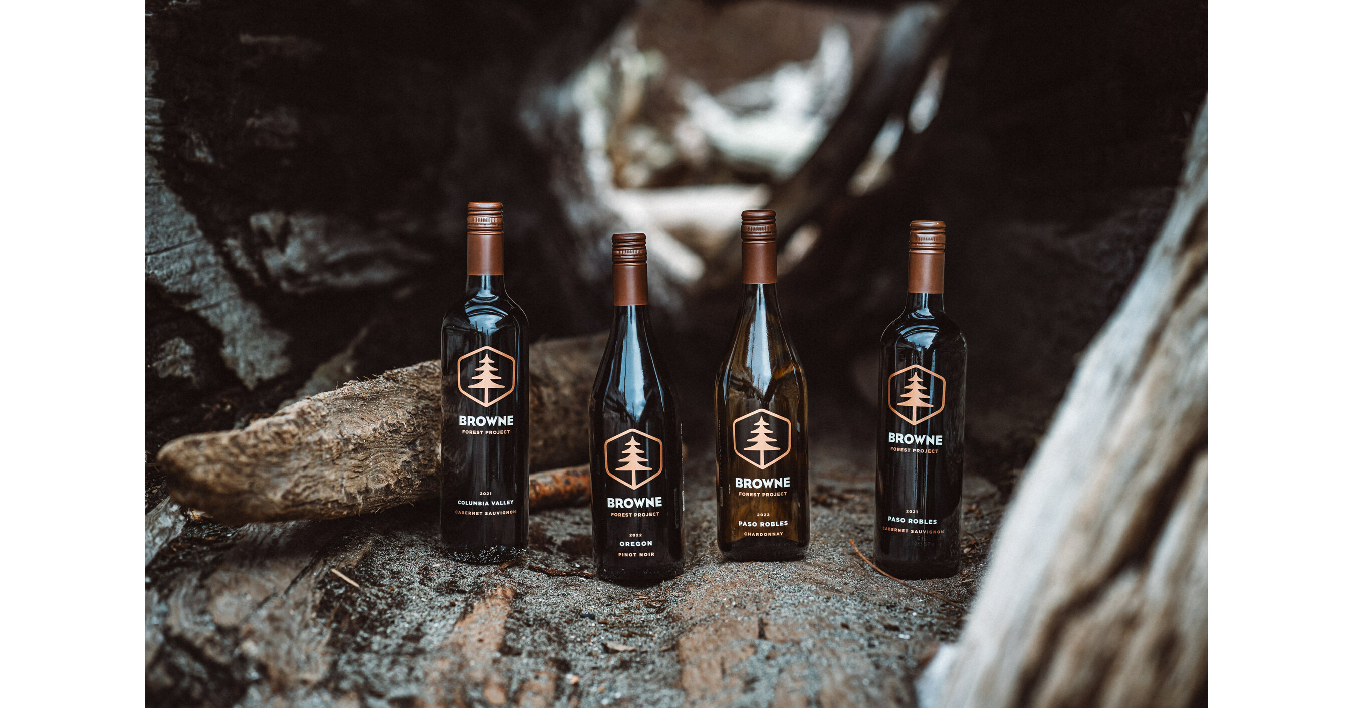 Browne Forest Project Hits 200,000 Tree Planting Milestone