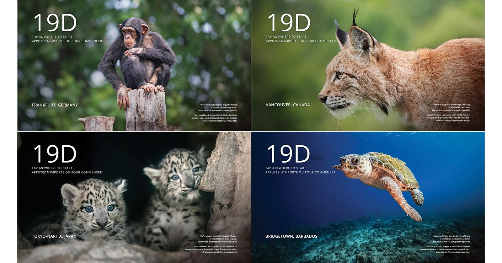 Air Canada and Jane Goodall Institute of Canada Spotlight Illegal ...