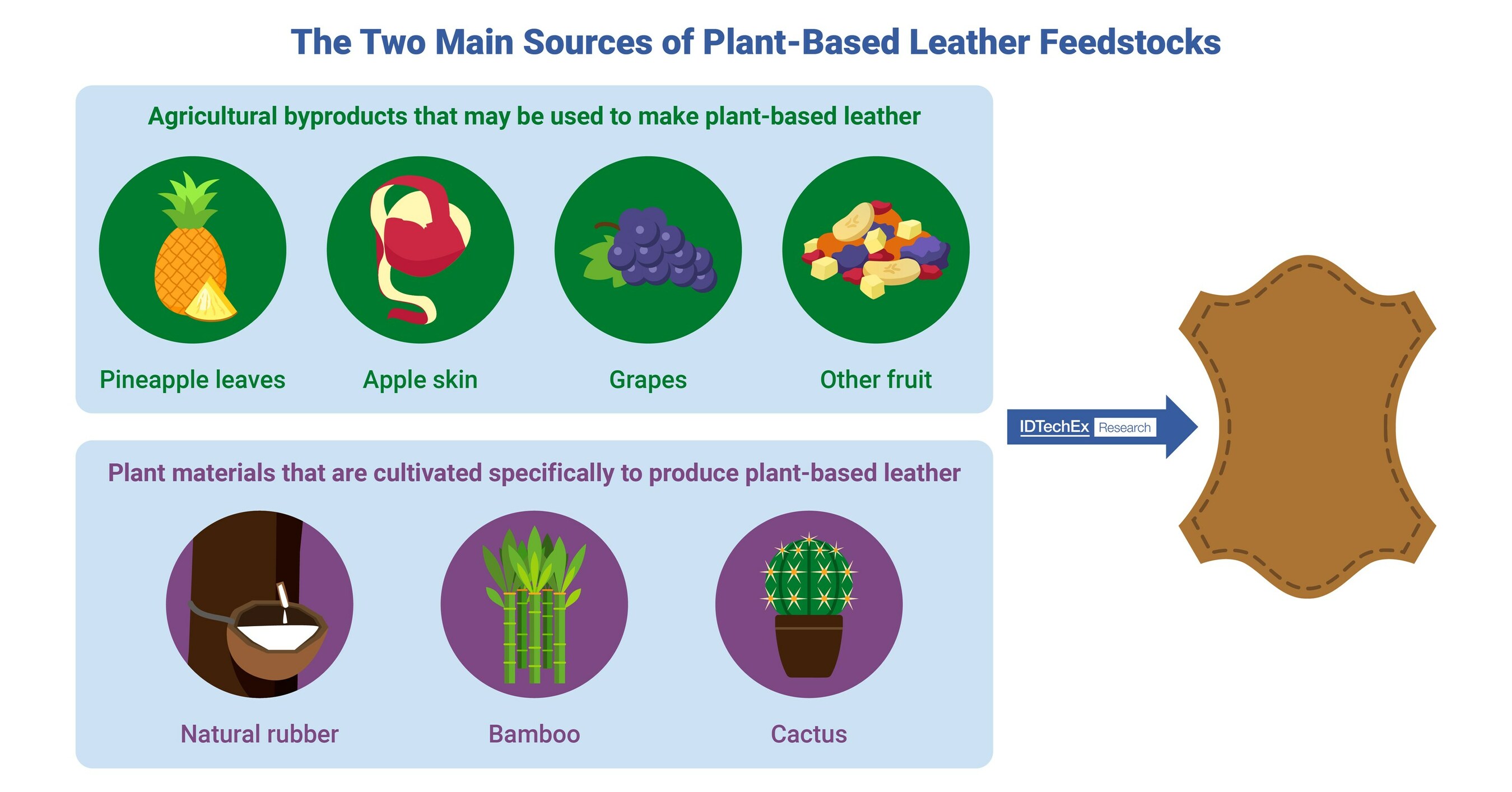 Plant-based Leather: IDTechEx Discusses if It's a Revolution in the ...