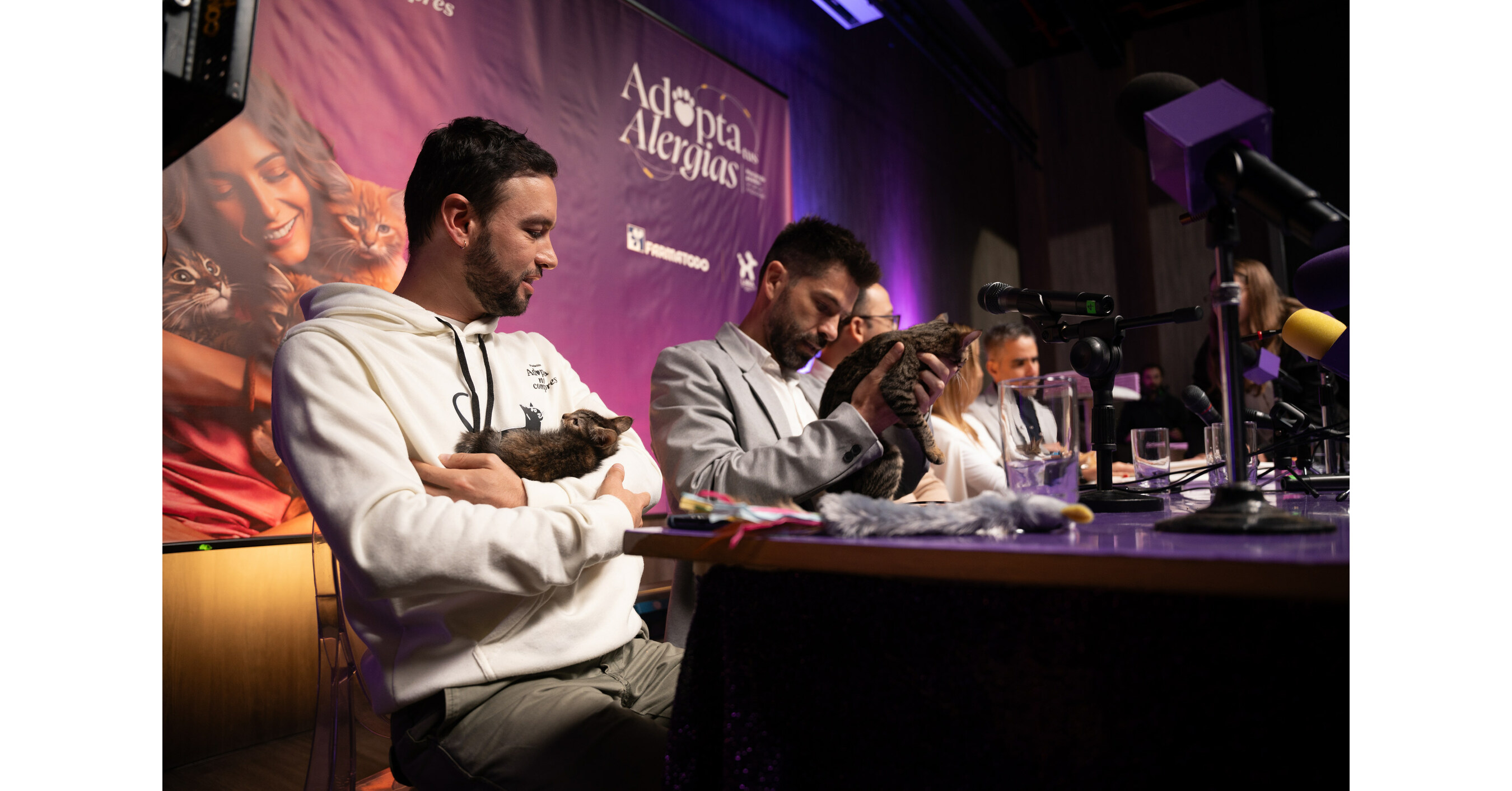 The first press conference with cats was held in Colombia