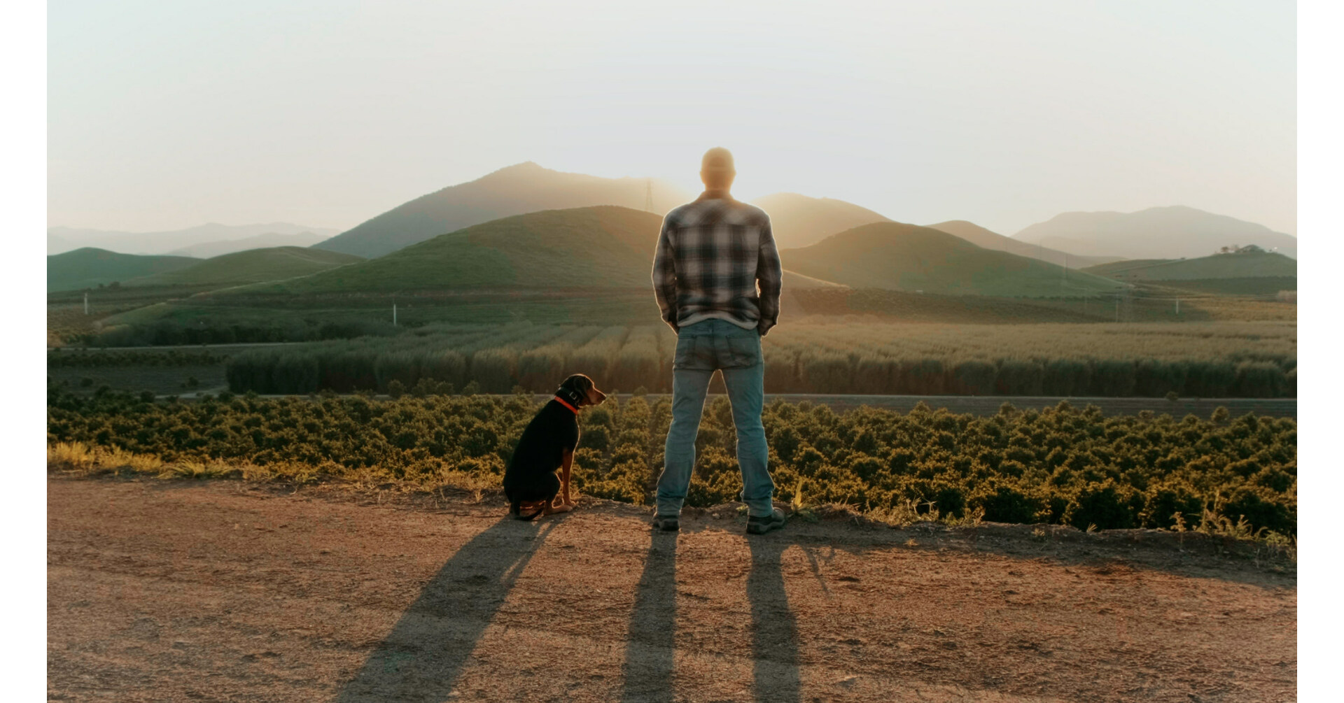 Semios + Agworld Tease The Next Revolution in Ag: Farming Made Simple™