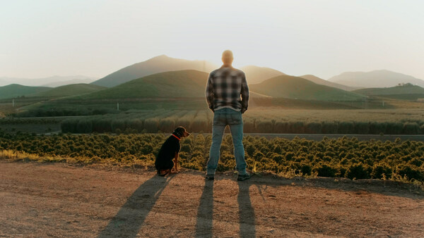 Semios + Agworld Tease The Next Revolution in Ag: Farming Made Simple™