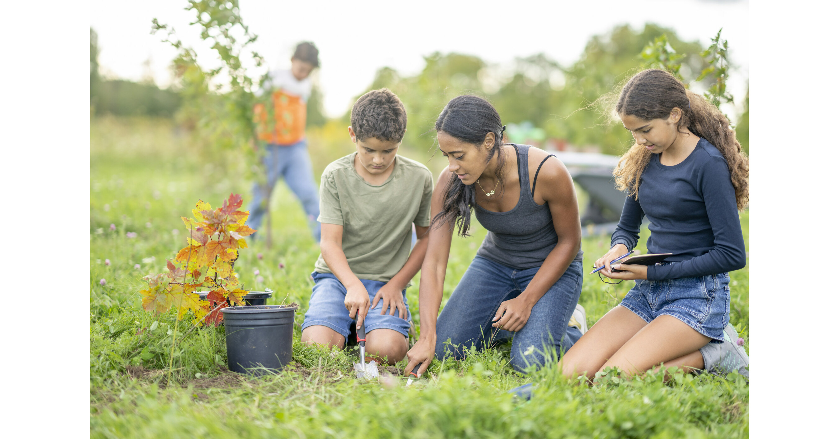 New Research in Rural Uptake of the Canada Learning Bond Program