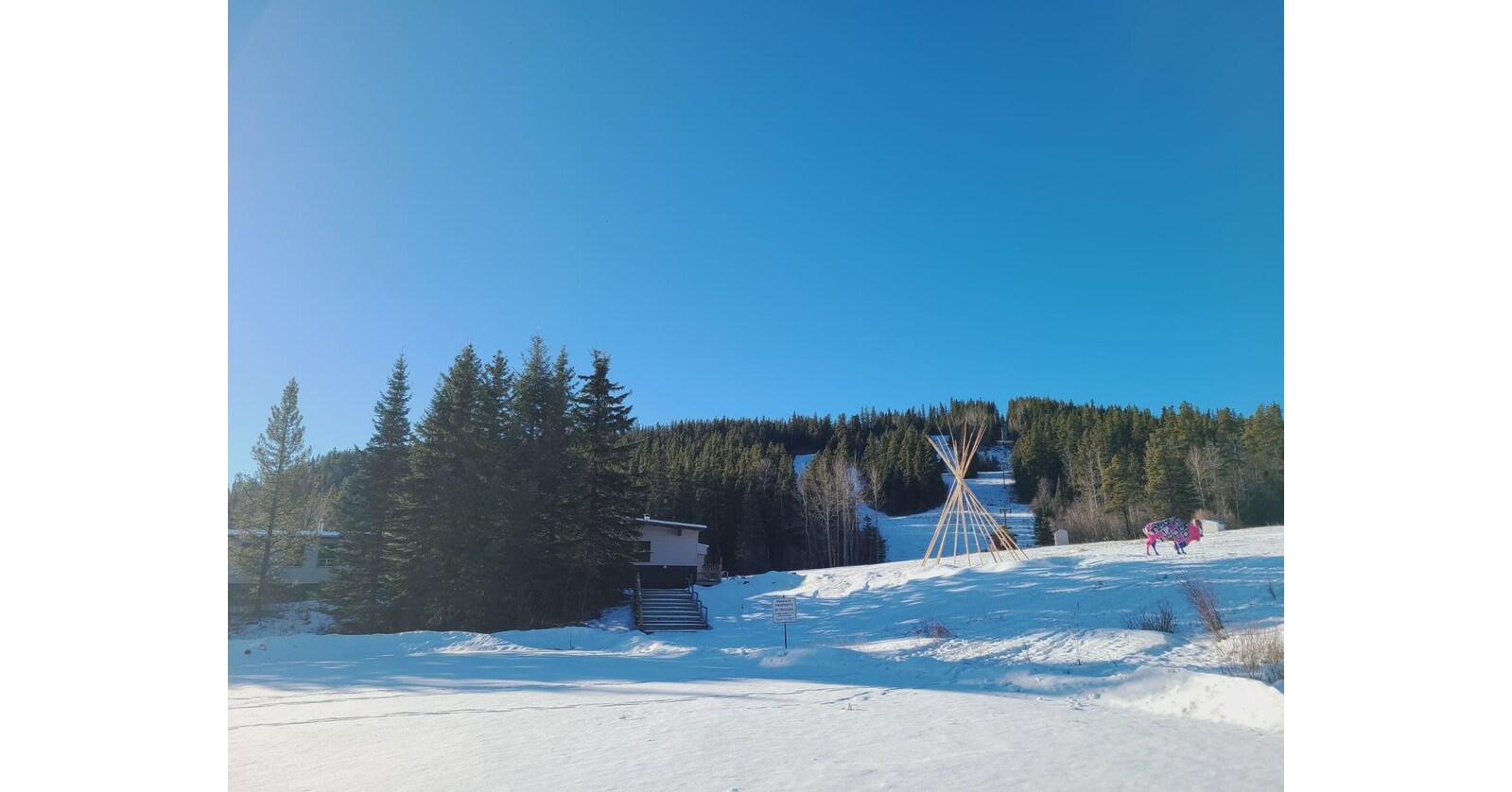 Sacred Turtle Woman Healing Centre opens doors to the public offering ...
