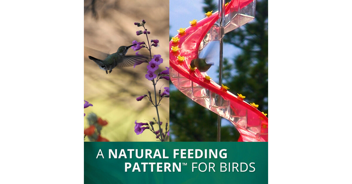 Cascade® Wild Bird Feeders by Ideam LLC Wins Inventors Spotlight Best ...