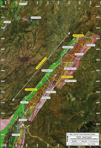 ALLIED GOLD ANNOUNCES POSITIVE EXPLORATION RESULTS AT KURMUK'S TSENGE ...